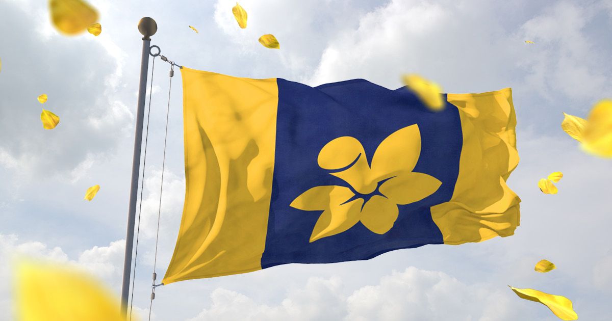 Daffodil Day 2025 | Cancer Council